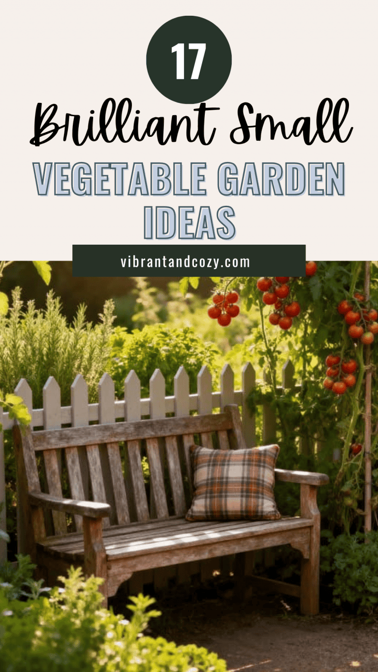 17 Brilliant Small Vegetable Garden Ideas For Fresh And Easy Harvests 🌱